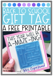 Easy Back to School Student Gift | True Life I'm a Teacher