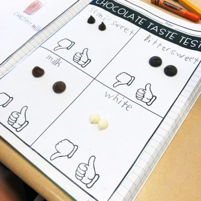 Chocolate Fever Novel Study - True Life I'm a Teacher